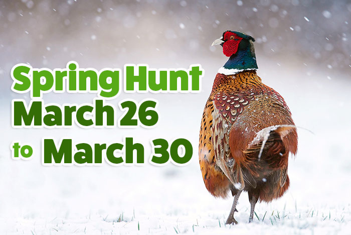 spring-hunt-2020-web - ScatterGun Lodge